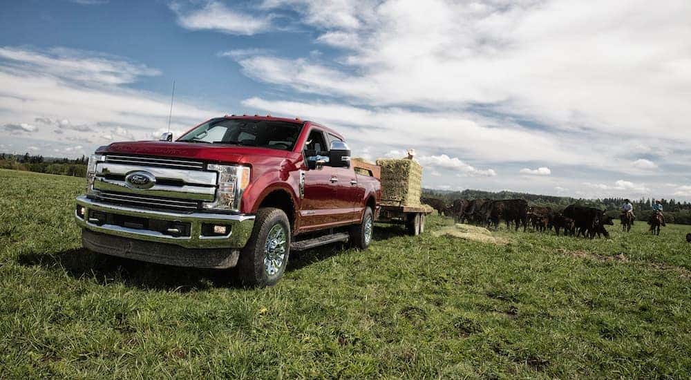 What is Ford Certified Pre-Owned? | Ford Dealer in Cincinnati, OH