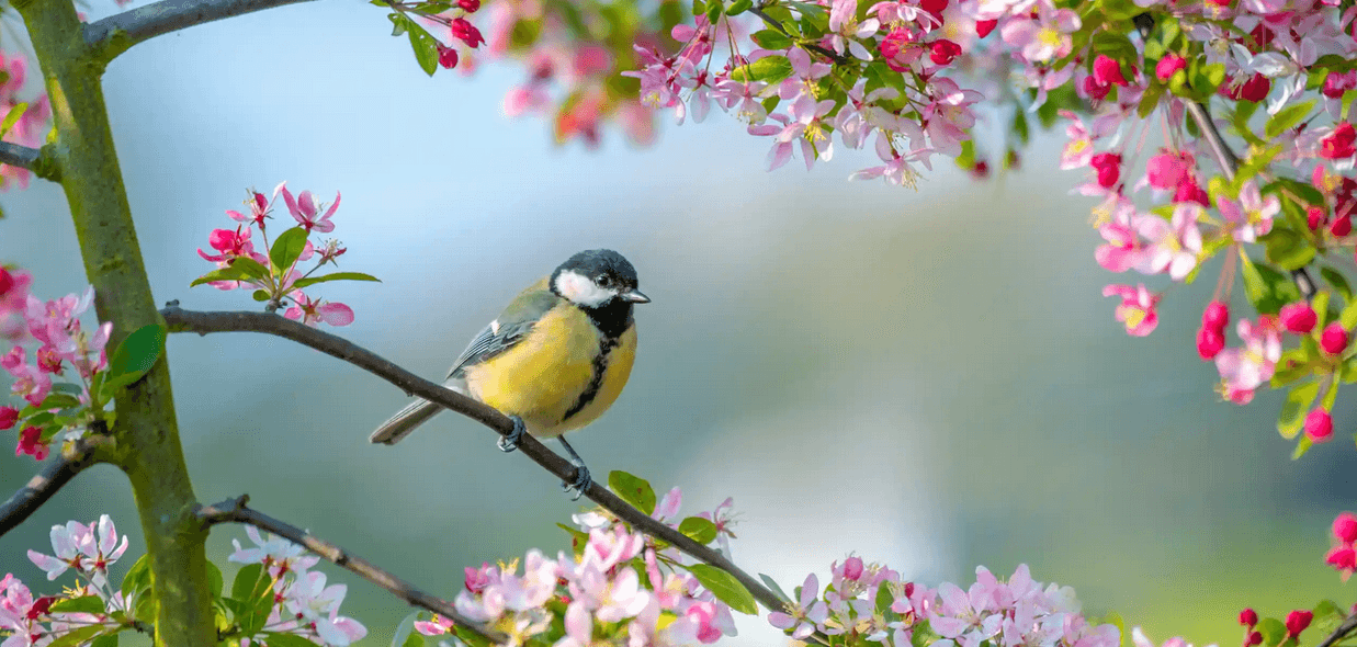 Family Fun things to do in Central Ontario this Spring! | Lauria Volkswagen