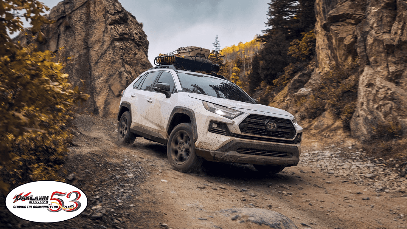 Your Guide To Choosing 2025 Toyota RAV4 Interior Options | Oak Lawn Toyota